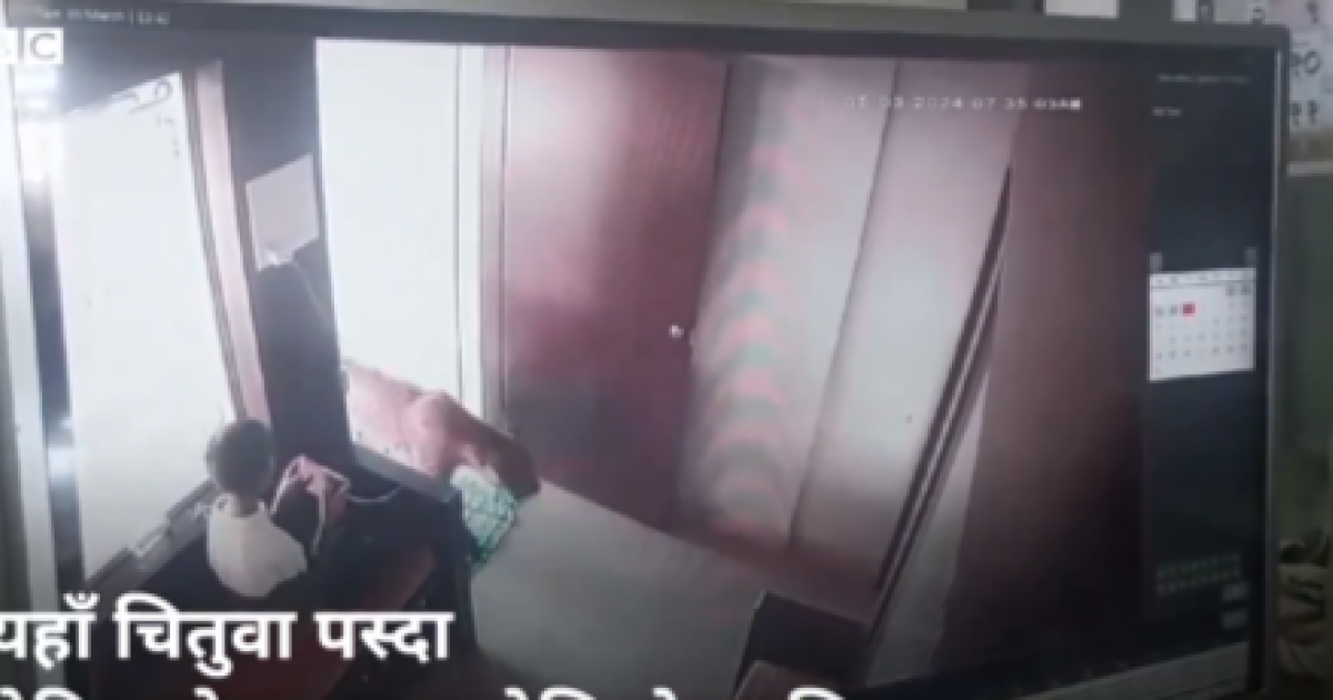 Viral η αντίδραση 12χρονου όταν λεοπάρδαλη εμφανίστηκε μπροστά του | Alfavita